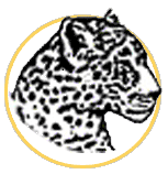 In Collaboration With…